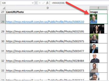 Fonction Excel IMAGE : Insérer dans une cellule avec une URL